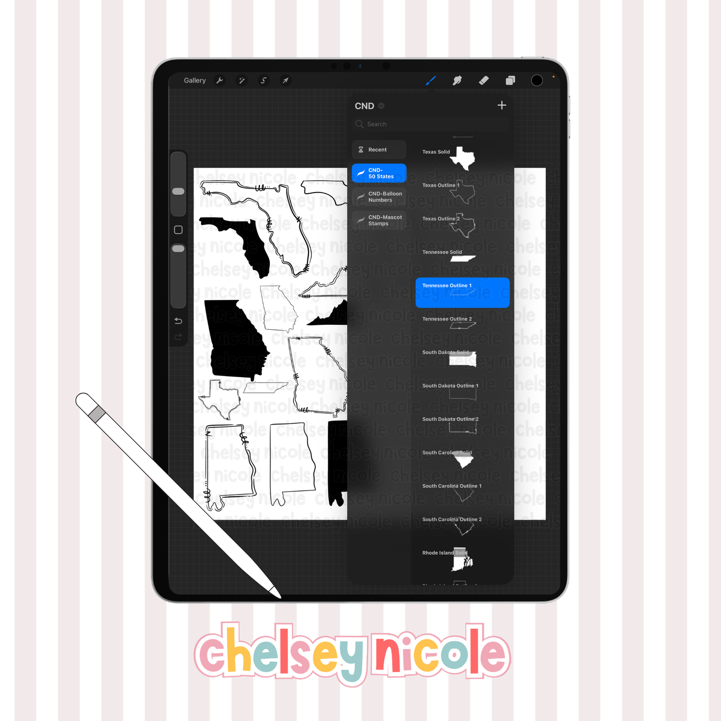 50 States Doodle Outline Stamps | Outline and Solid US States Procreat ...